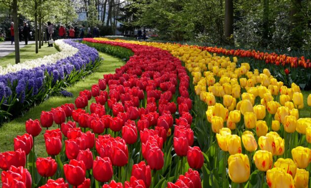 Keukenhof Tickets 2026 Keukenhof Gardens Tickets & Tours 2026 ...